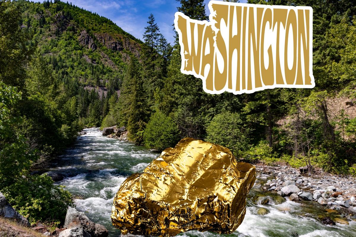There Is A Lot Of Gold In "The Hills" Of Washington State!