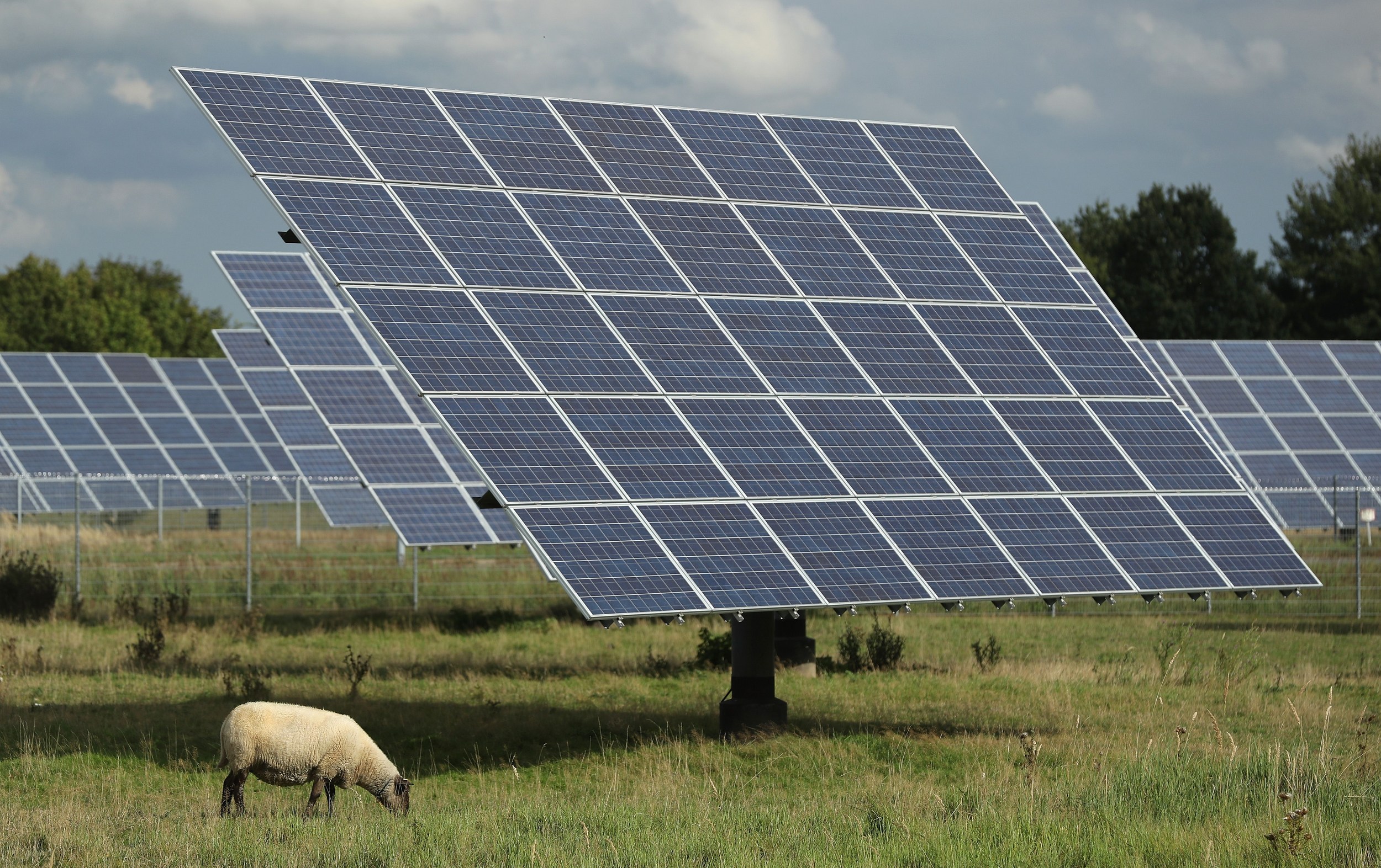 Solar Restrictions in Farm Bill Draw Concern From Rural Landowner ...