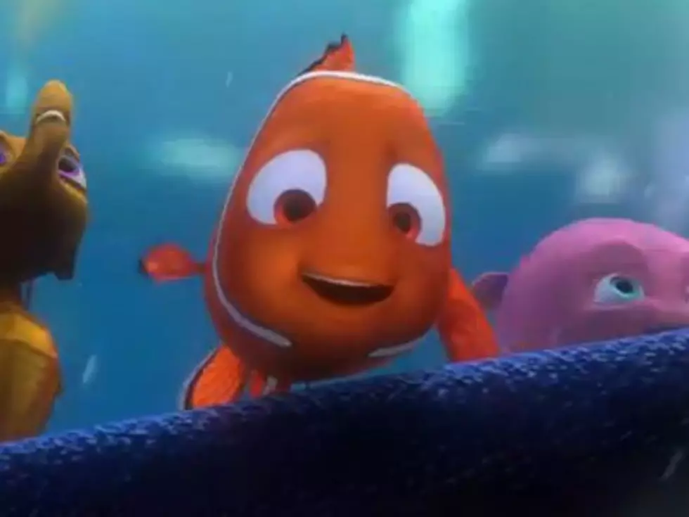 Inside Whale Finding Nemo