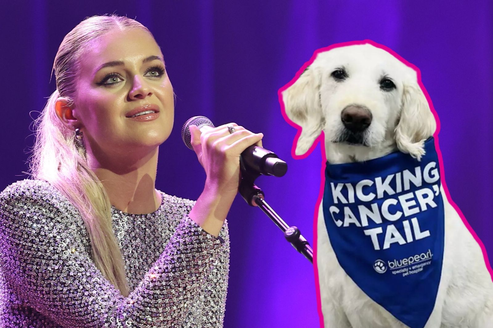 Kelsea Ballerini Asking Fans to Keep Their Distance From Dog Dibs ...