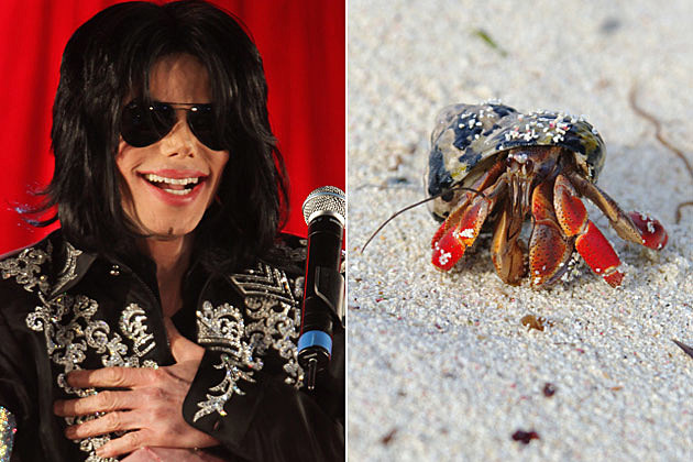 Michael Jackson Hermit Crab – Things Named After Famous People
