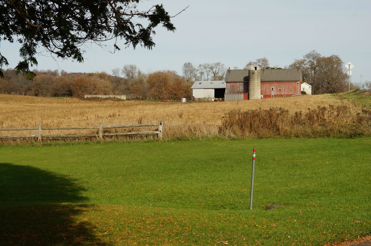NY Farm Bureau Praises Agriculture Gains in State Budget