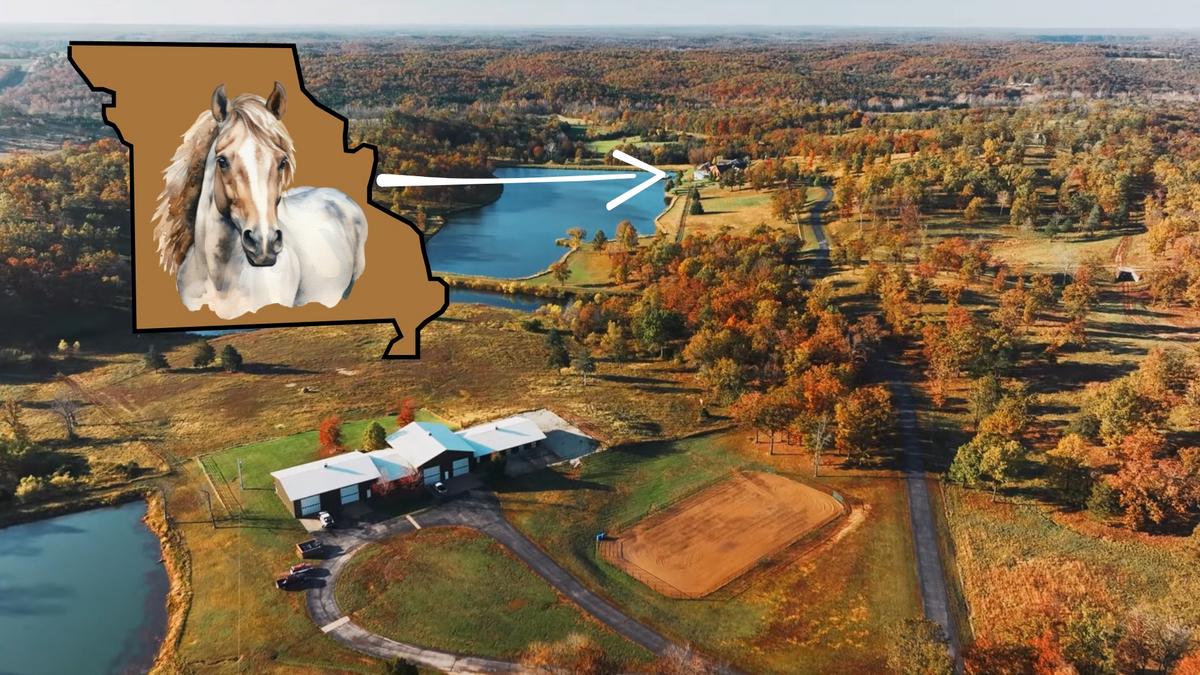 16 Photos of a Breathtaking Missouri Horse Ranch in the Ozarks