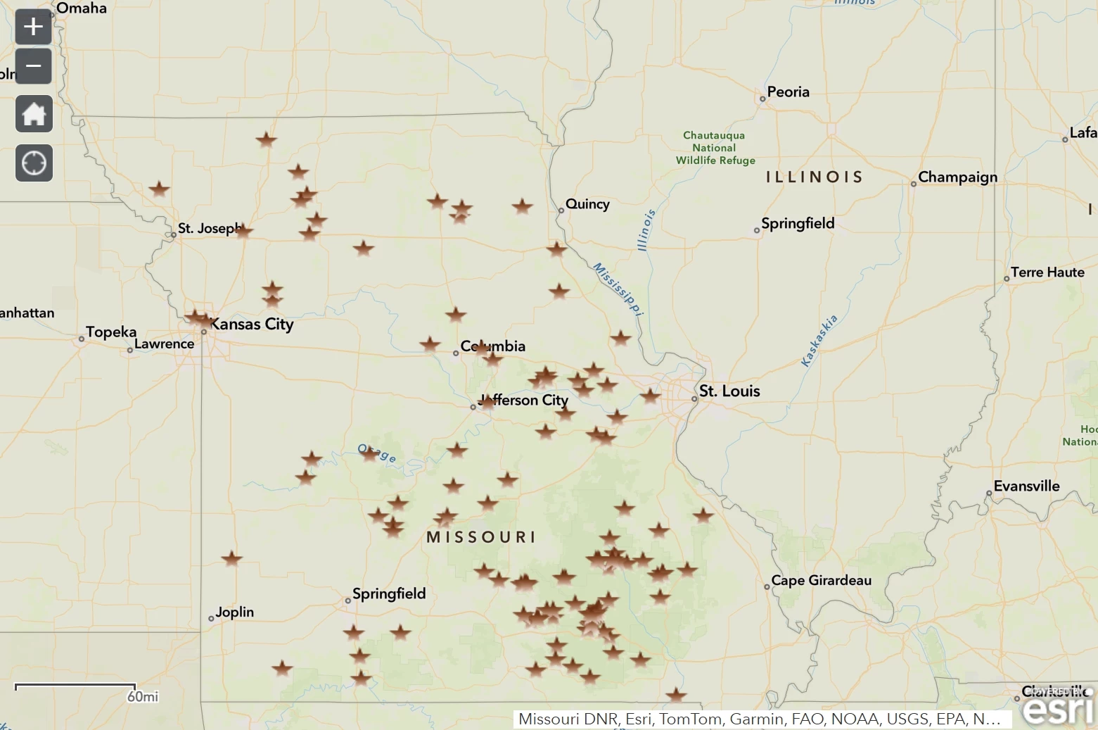 Missouri Really Wants to Know If You've Seen a Mountain Lion