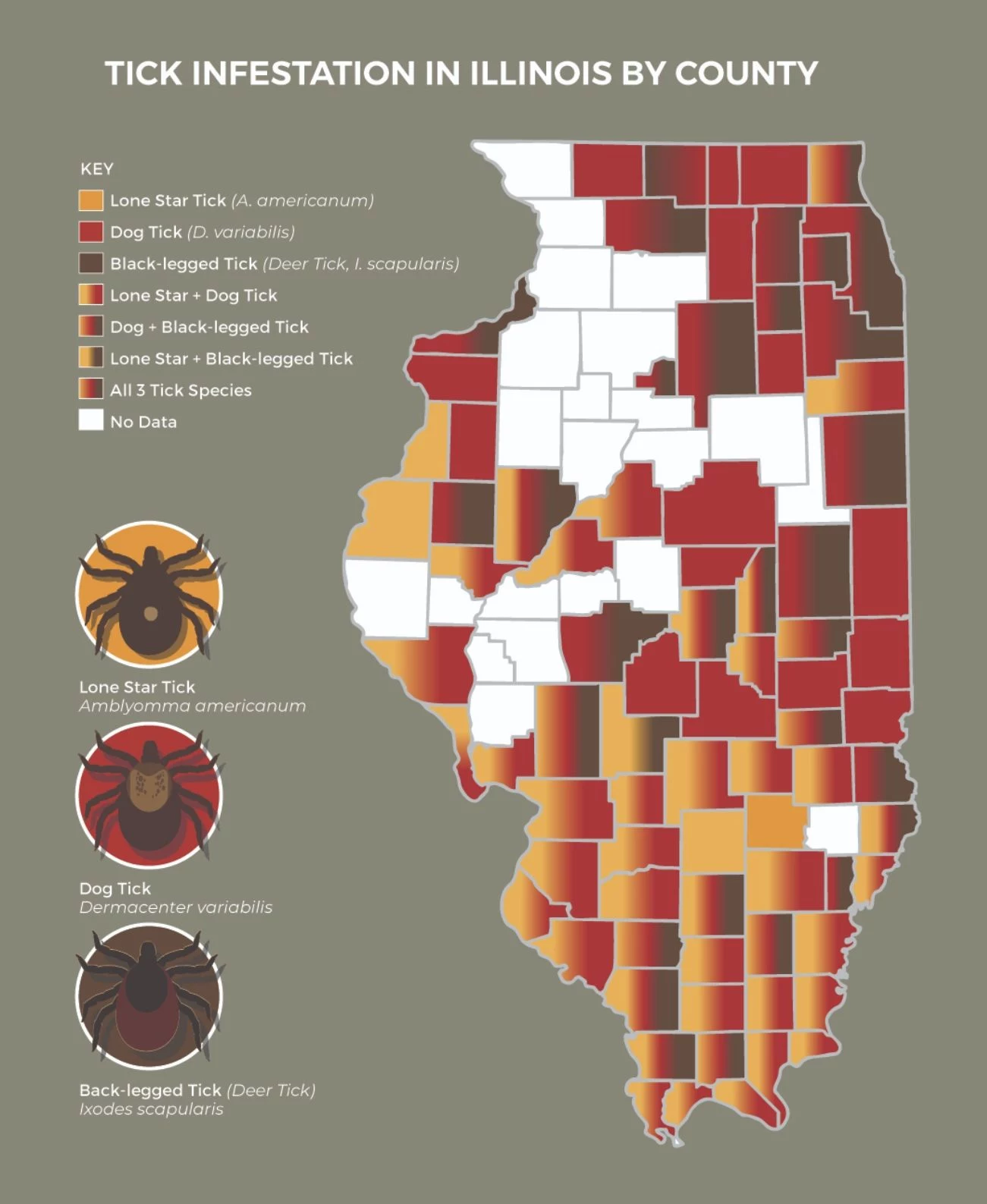 Illinois Sees Growing Threat from Disease-Carrying Ticks