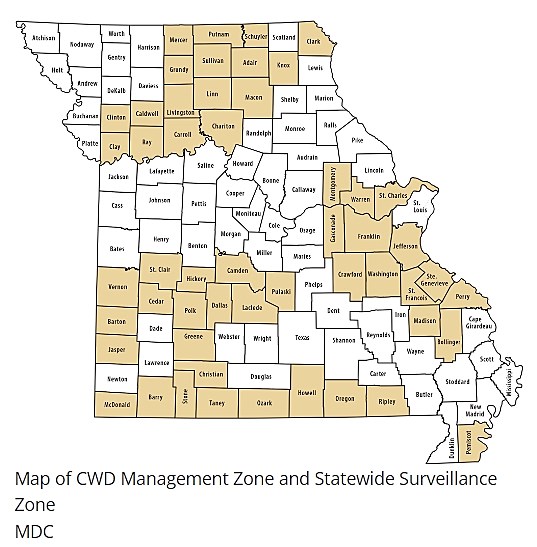 Scientist Says Disease that Will Kill Us All is in Missouri Deer