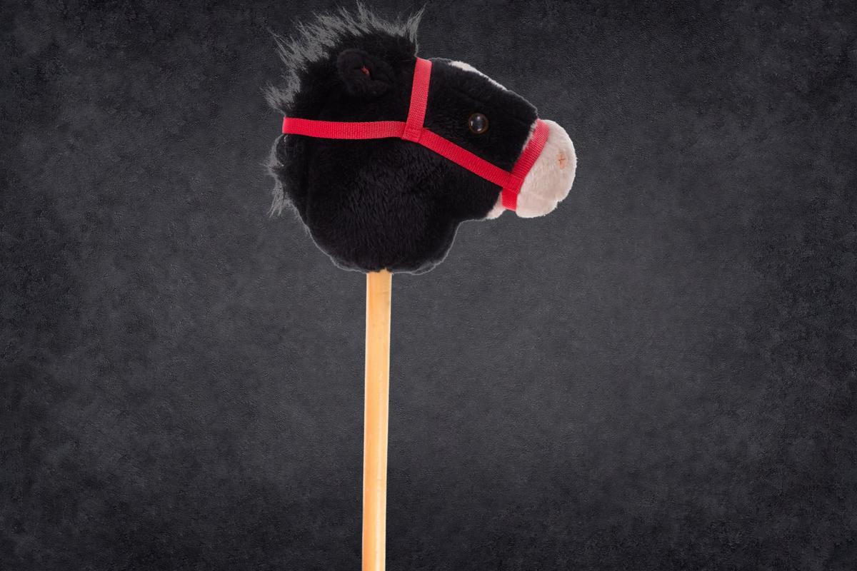 Get Ready For A Day Of Fun At The Hobby Horse Relay