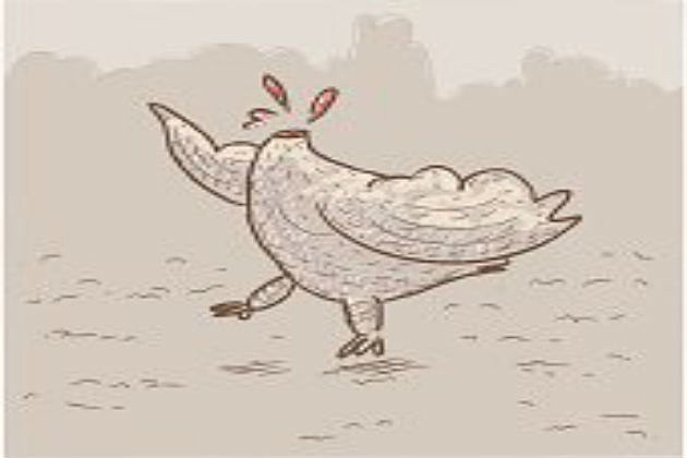 Mike the Headless Chicken Lives for 18 Months