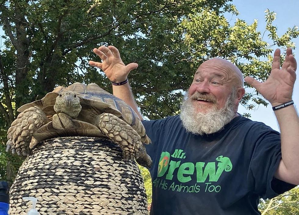 Help! Mr. Drew & His Animals Too Evicted From Current Location Help! Mr. Drew & His Animals Too Evicted From Current Location