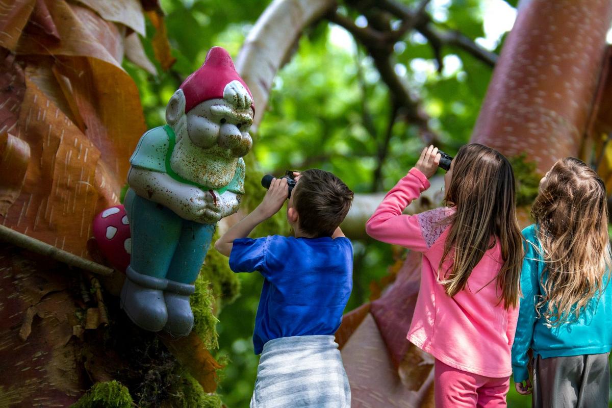 Discover the Hidden Gnome Village Tucked Away in Western Maine