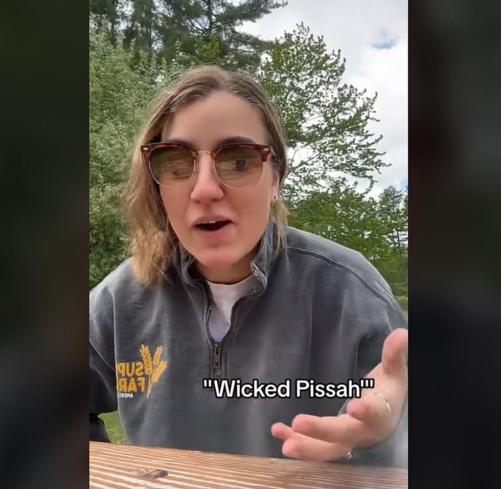 A Tiktok Video Gives You The Guide To The Mainers Dictionary