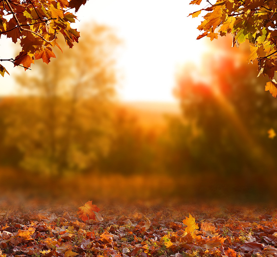 13 Reasons to Fall in Love With Fall