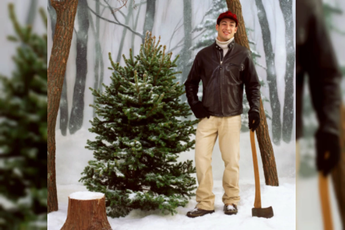 How To Get A Christmas Tree Cutting Permit In Mesa County how-to-get-a-christmas-tree-cutting-permit-in-mesa-county
