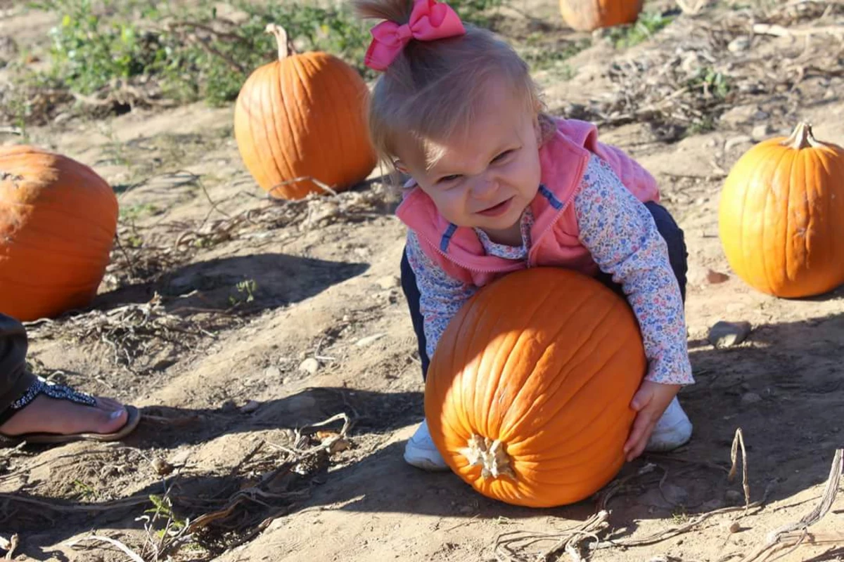 Pumpkin Patch Kids GALLERY pumpkin-patch-kids-gallery