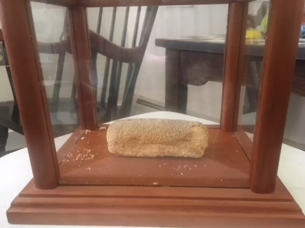 Blue Hill Maine Twinkie Turns 42 Years Old Today Photo