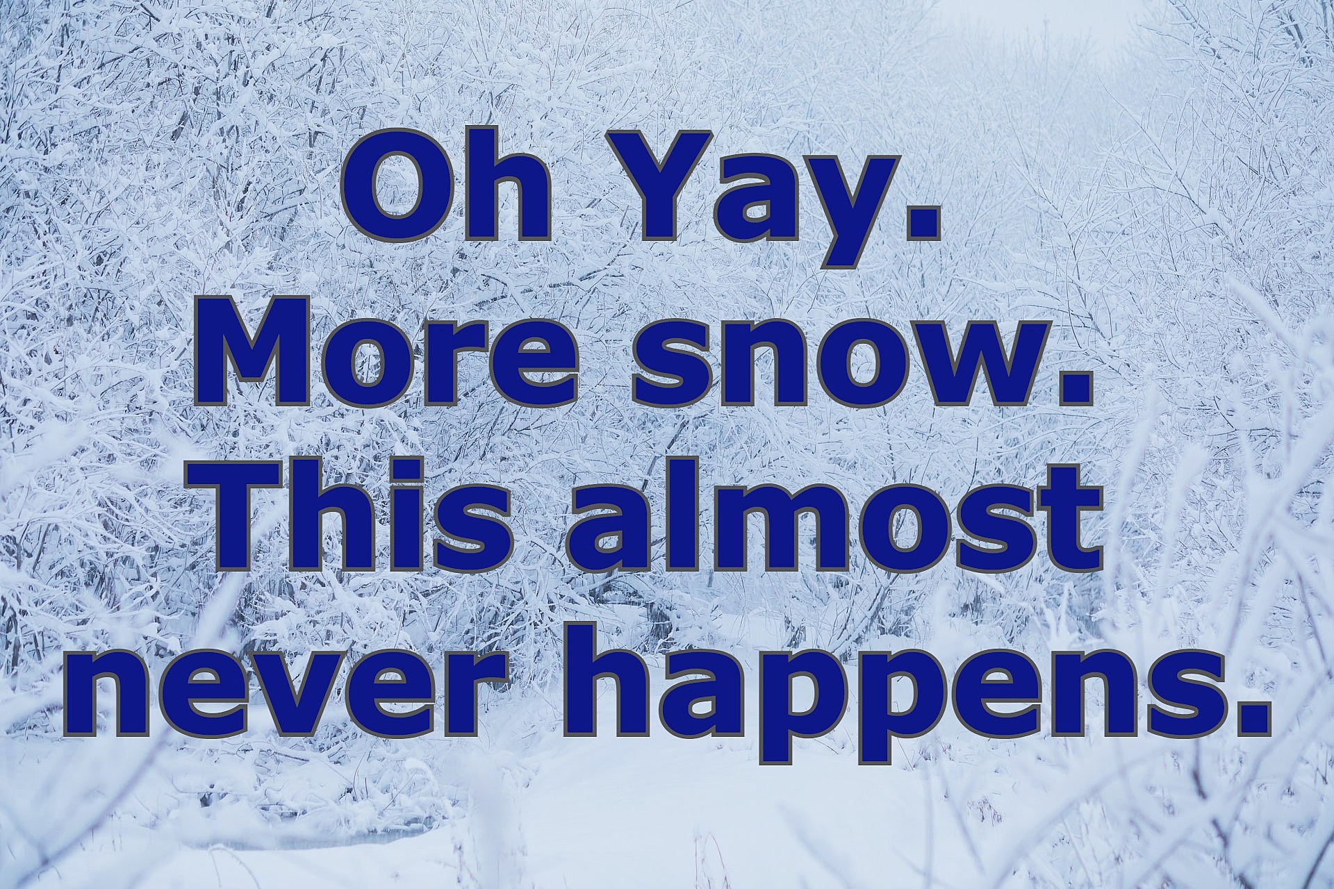 2022 Common Ground Country Fair Design Revealed