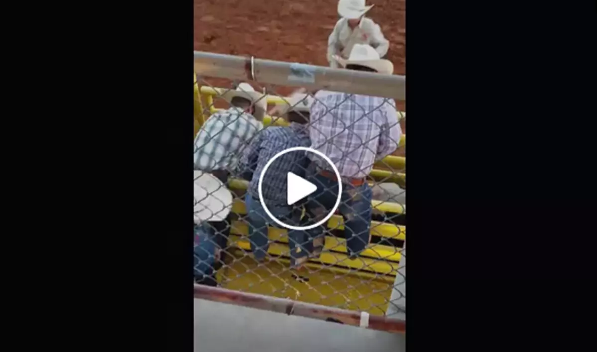 Watch Cody Johnson The Bull Rider In The Chute Distant Replay