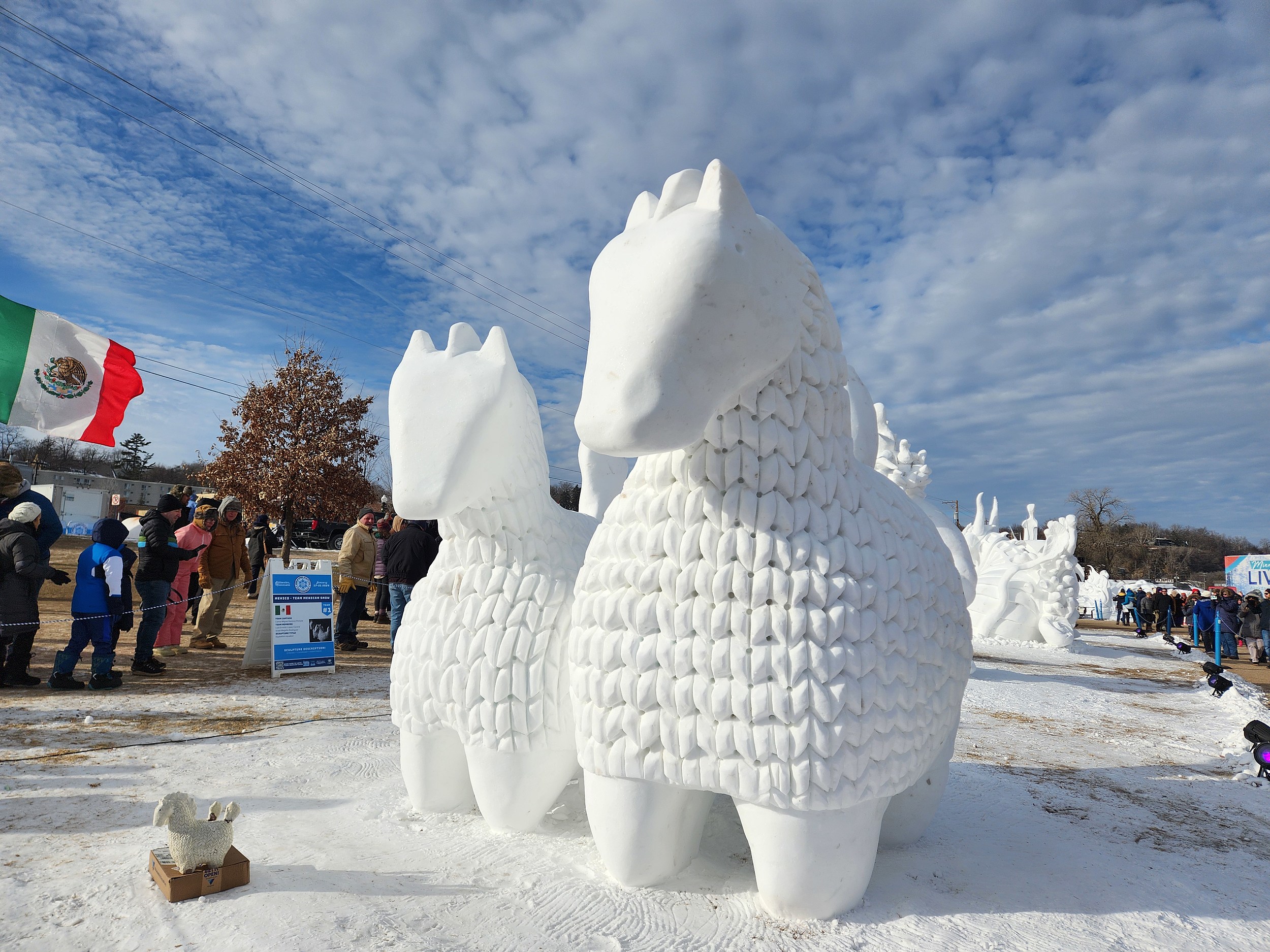 Unexpected Countries Shine At World Snow Sculpting Championship