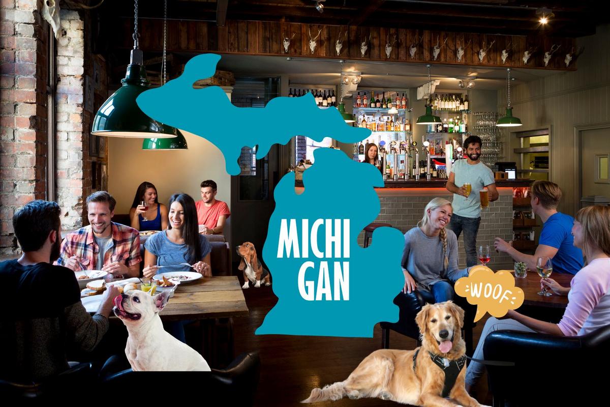 Here Are 3 Must-Visit Dog Bars in Michigan