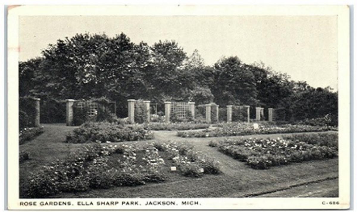 The Creation of Ella Sharp Park's Rose Garden: 1922-1926