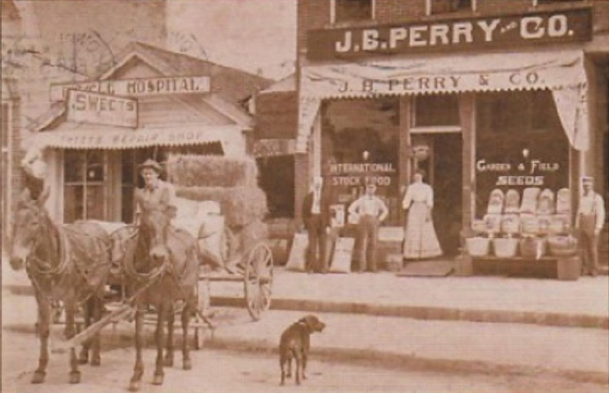 Vintage Photos of Coldwater, Michigan: 1865-1920s