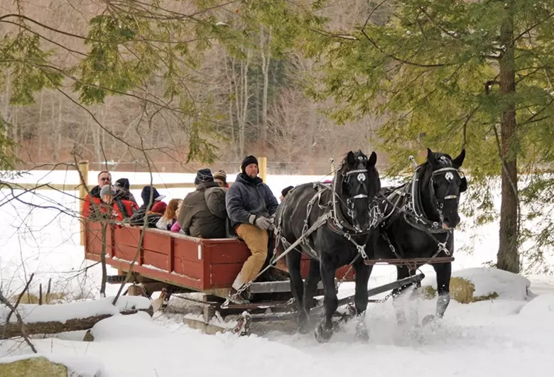 East Coast Snow Sleigh Rides