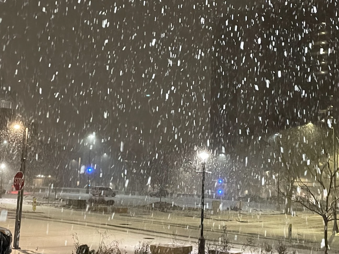 Record Snowfall Hits Rochester Over Thanksgiving Weekend