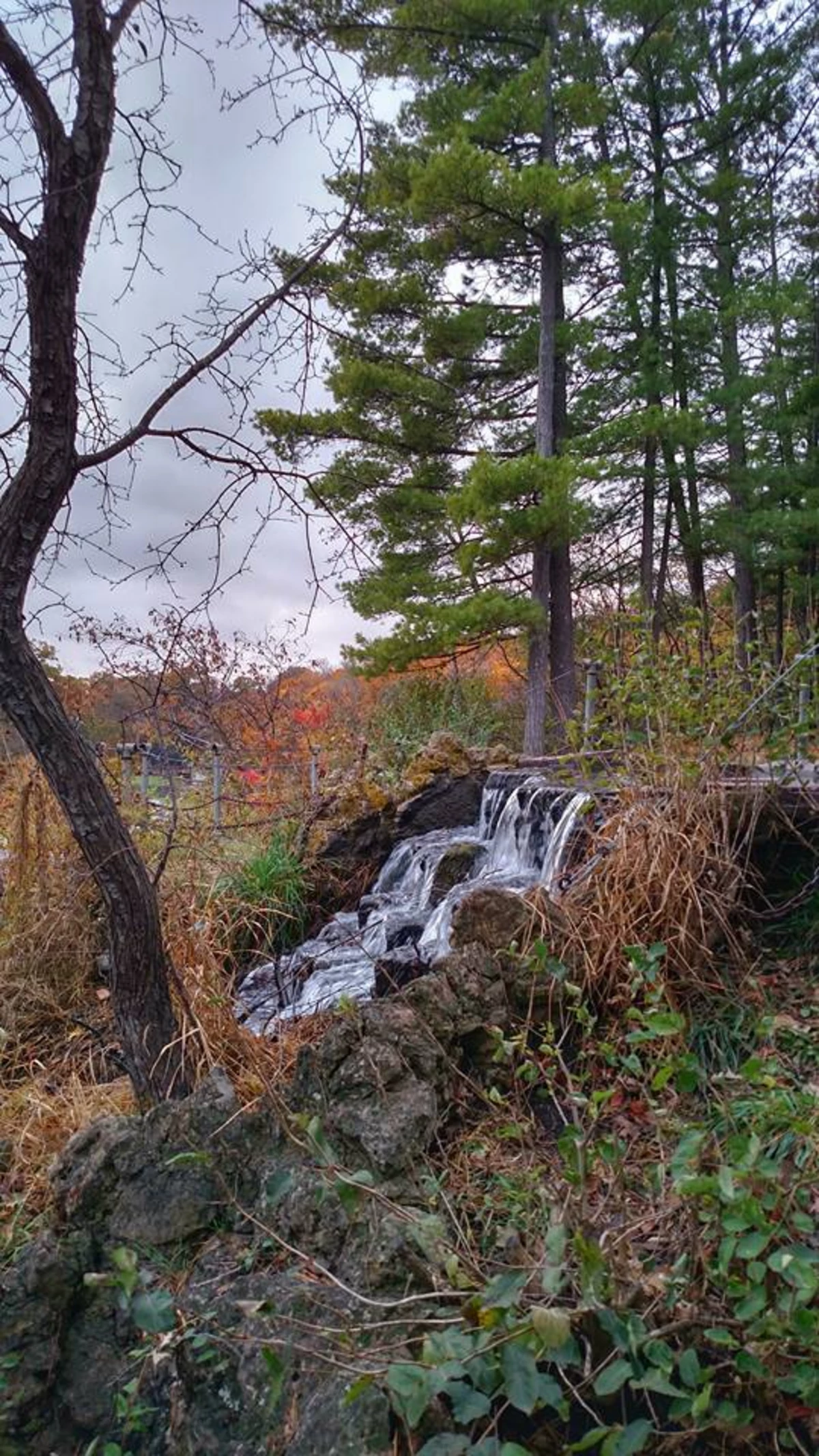 27 Things To Do In Freeport With Kids 27-things-to-do-in-freeport-with-kids