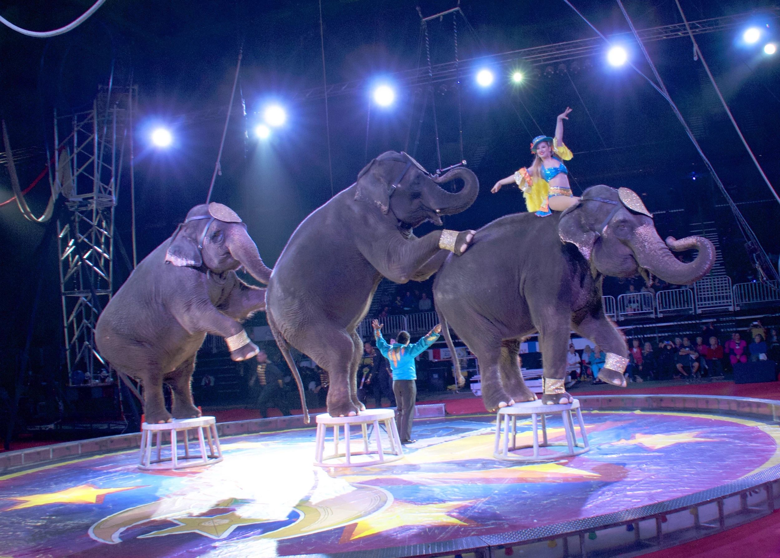 Circus Comes to McElroy Auditorium April 1 & 2 [Photos]
