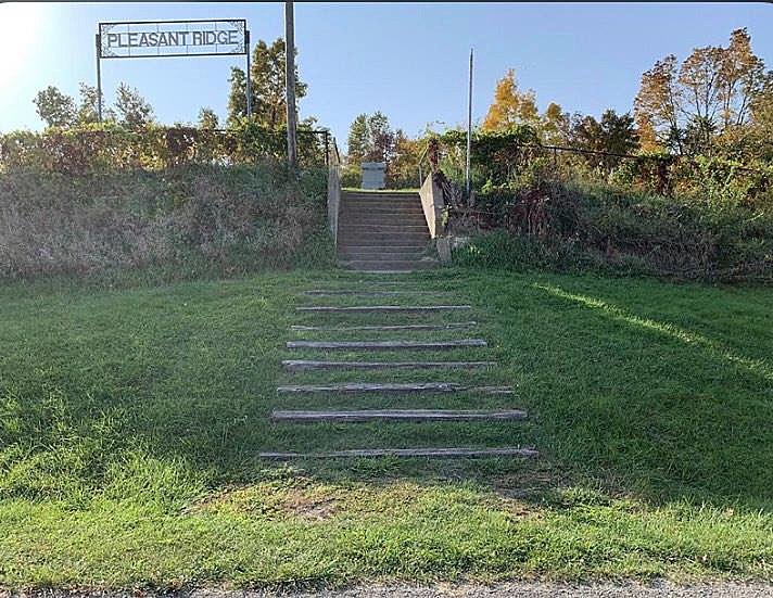 The Ancient Winged Creature that Terrorized Van Meter Iowa in 1903