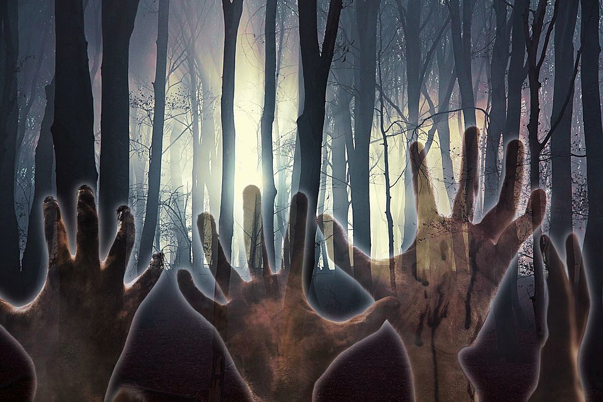 Are 'Feral Humans' Living in the Forests of the Smoky Mountains?