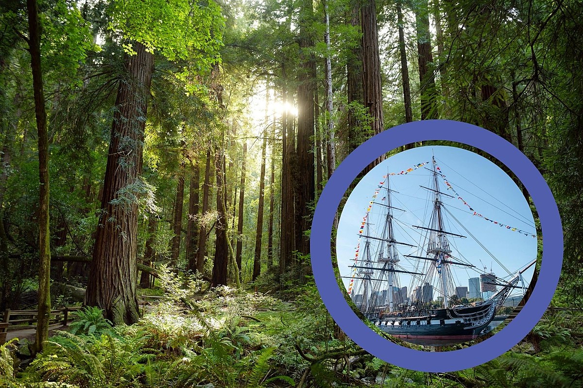 What Does an Indiana Forest Have to Do With a 200-Year-Old Ship?