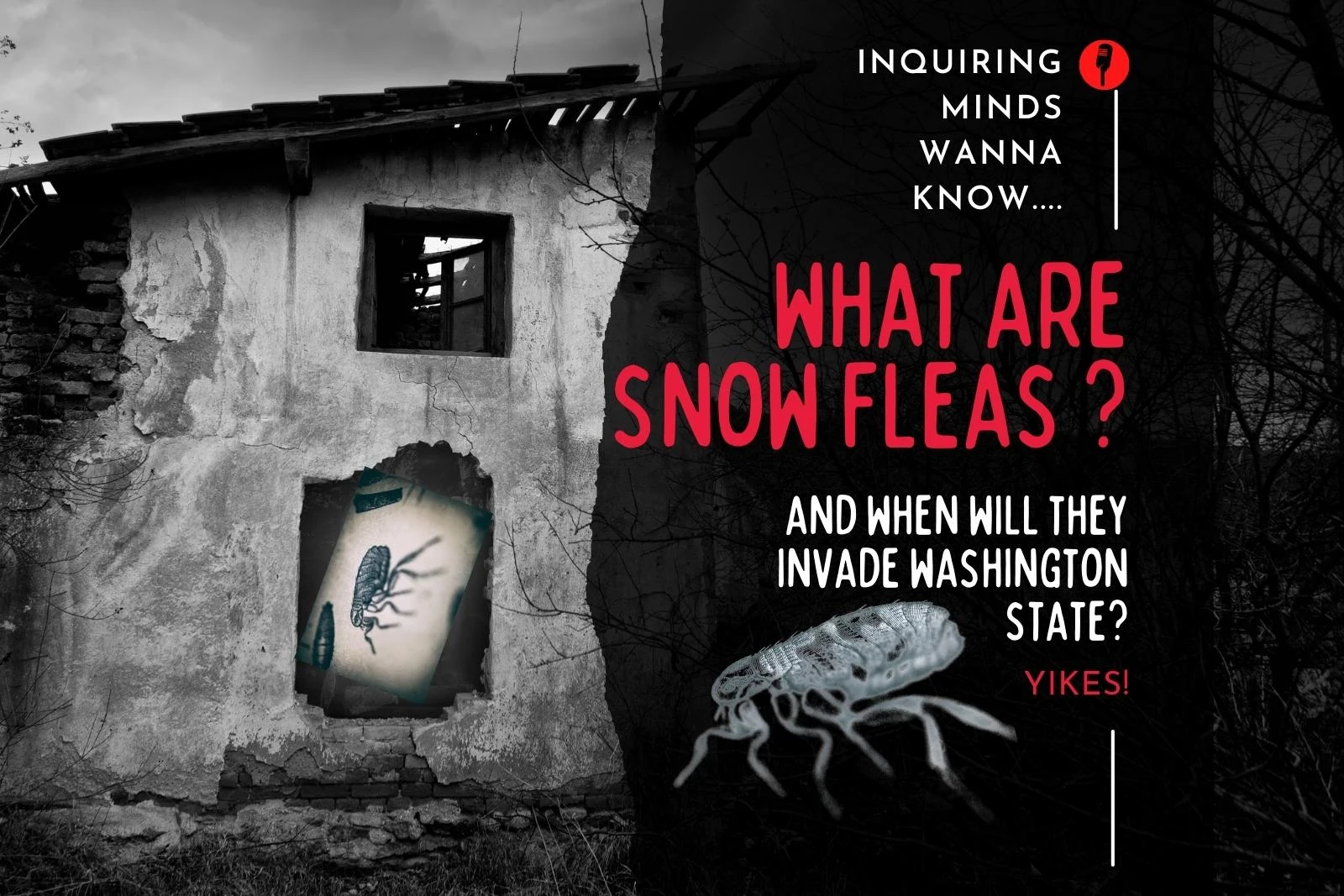 What are the BEST and WORST Things about the Fall/Winter Season?