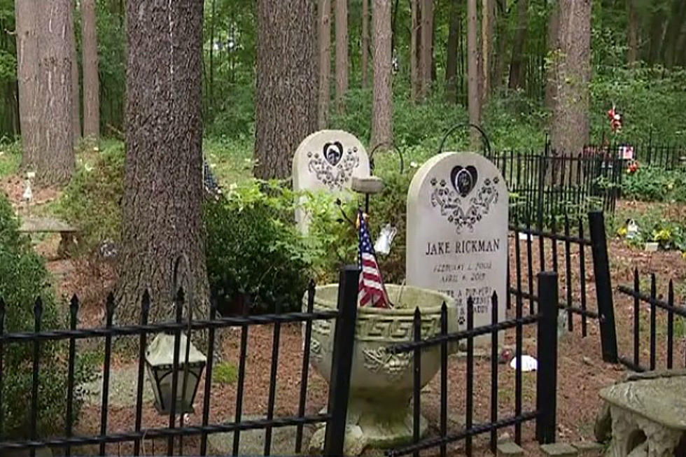 Michigan Pet Cemetery Closes Owners Asked To Dig Up Pets VIDEO michigan-pet-cemetery-closes-owners-asked-to-dig-up-pets-video