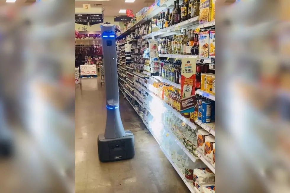 Sharing The Aisle With Robots - Is This Michigan's Grocery Future