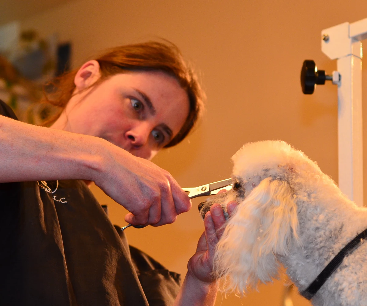 Best Places To Take Your Dog In Cheyenne Gary s Top Five best-places-to-take-your-dog-in-cheyenne-gary-s-top-five